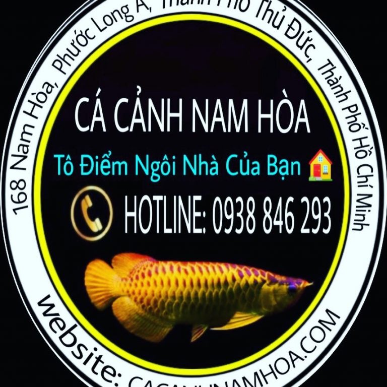 Cá Két Panda - Cá cảnh Nam Hoa